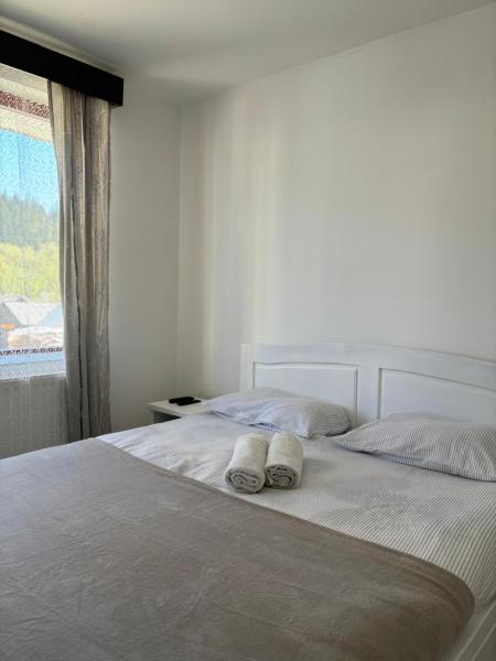 Kiadó Apartman - Borsec