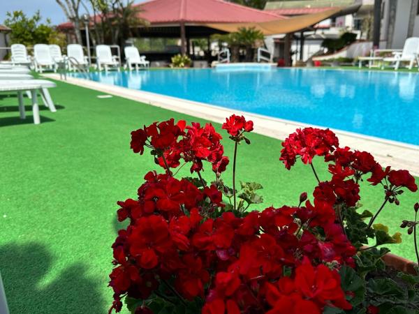 Hotel B&b Marina - Campania