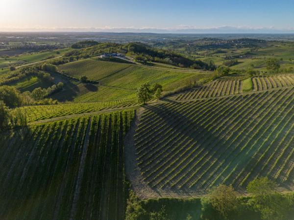 Orizzonti Vigneti Repetto - Tortona