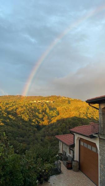 Zarova Apartment With Wine Tasting Experience - Nova Gorica