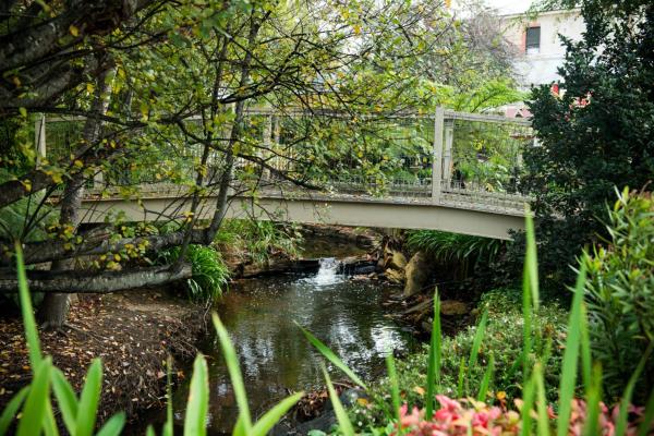 Adelaide Hills Camellia Cottage Wifi - Stirling