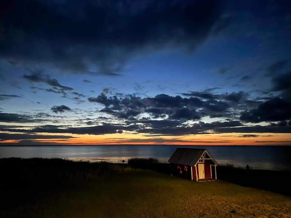 Sadama Majutus - Estonia