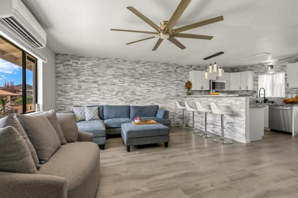 Malia Makai - D - Dolphin - Kauai, HI