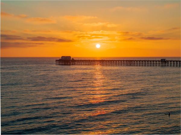 Fresh New Listing Oside Palms Day In Paradise - Oceanside