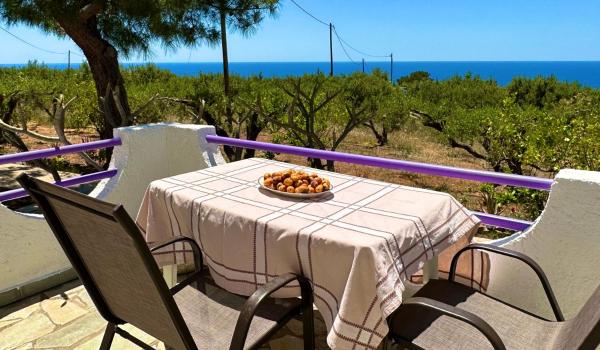 Studios Crete - Crete