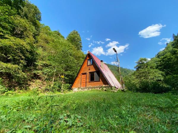 Mountain House - Bungalow - Rize Merkez