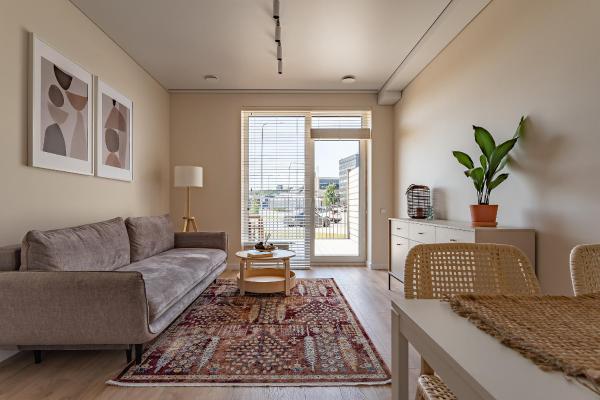 Cozy Apartment With Huge Terrace - Vilnius