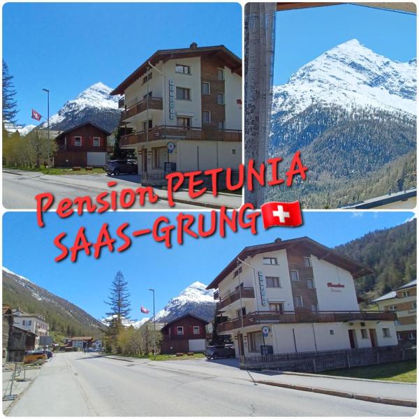 Chalet Petunia In Swiss Alps - Saas-Grund
