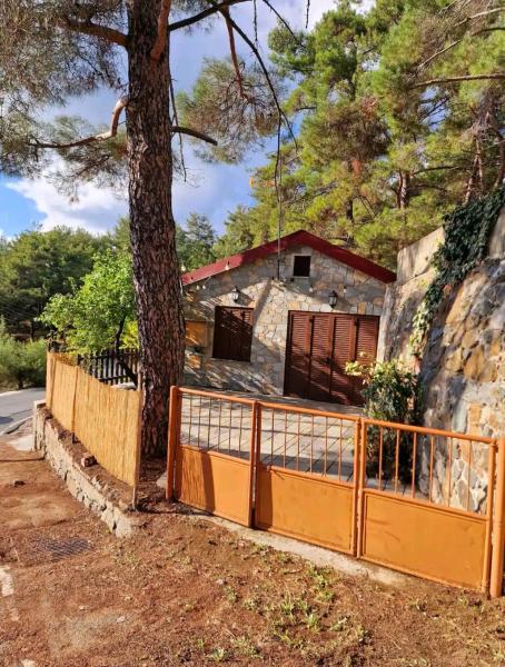 Butterfly Home - Chypre