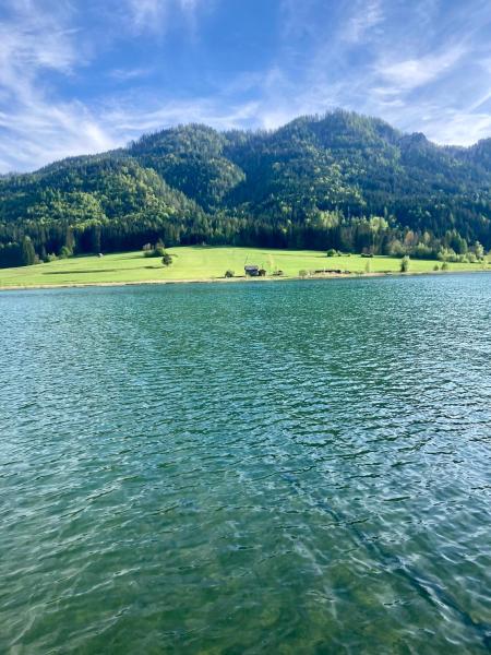 Garten Seeapartments Kärntnerhof Hundefreundlich - Weissensee
