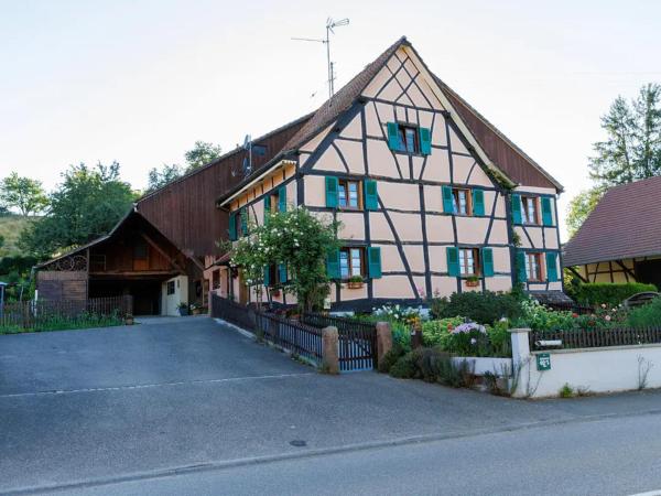 Gîte Alsacien Rénové Avec Jardin Près De La Suisse Et De L'allemagne, Idéal Pour Familles Et Amis - Fr-1-744-29 - Altkirch