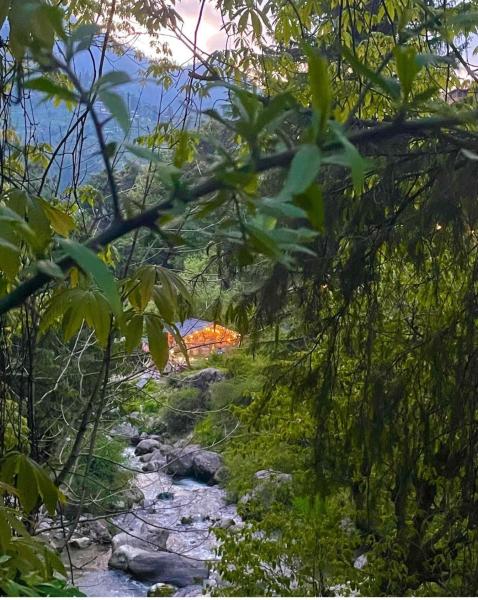 Mystic Vibes - Jibhi - Mandi