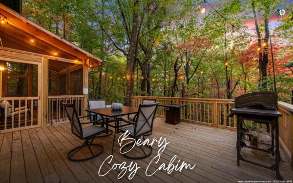 'Beary Cozy Cabin' - Dogs Welcome Ellijay-hottub - Chatsworth, GA
