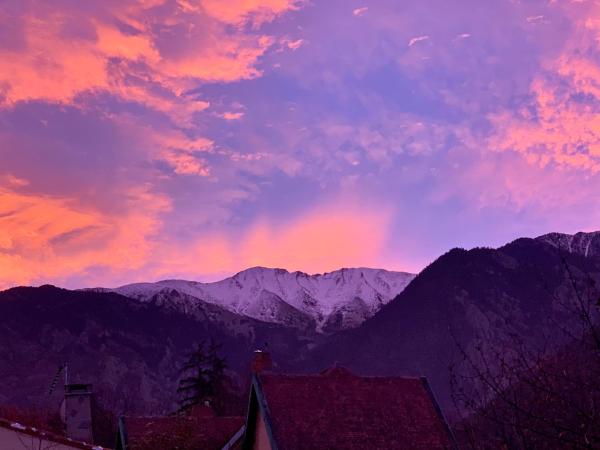Albizia - Vernet-les-Bains