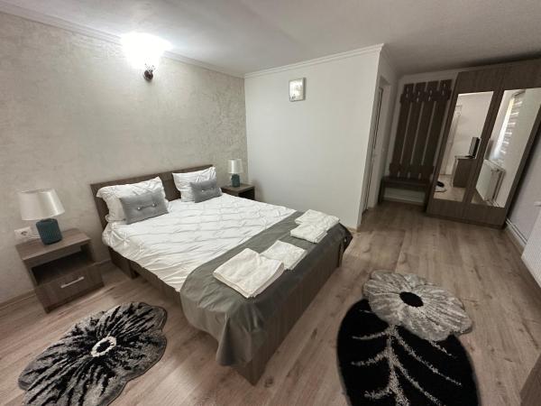Casa Antonia - Arad