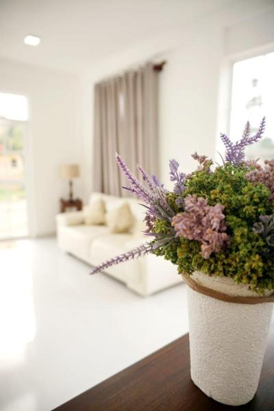 Ivy Home - Nuwara Eliya