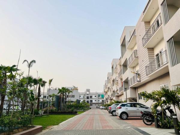 Shekhawati Sutie Near Rangoli Gardens - Jaipur