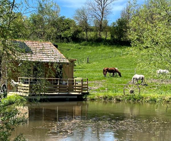 Cabane Au Bord D'un éTang - Les Estables