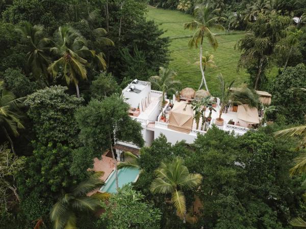 Black Honey - Sri Lanka