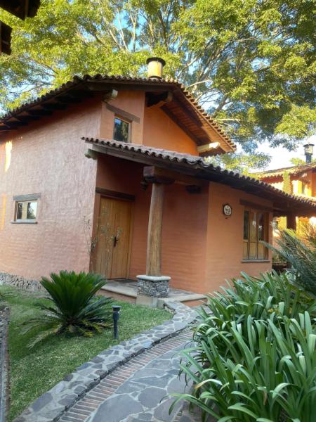 Wisteria - Michoacán