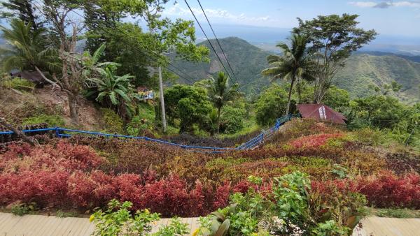 Island Skyview Resort - Jvr By Hiverooms - Balamban
