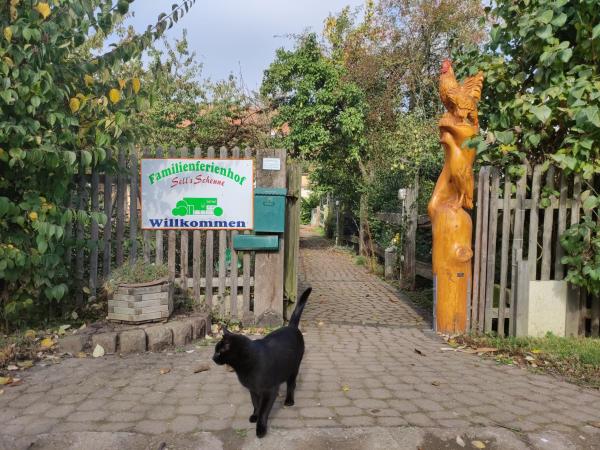 Familienferienhof Sell´s Scheune - Bad Langensalza