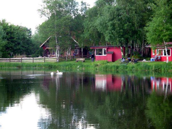 Ferienhof Am Birkensee 55125 - Ostrhauderfehn
