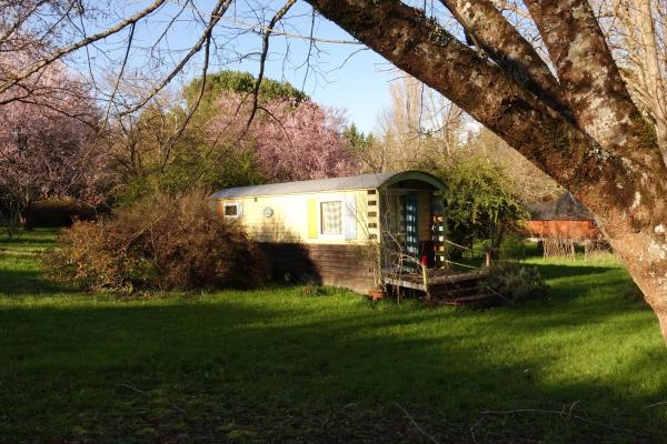Graines De Nature - Ecolodges Insolites - Monflanquin