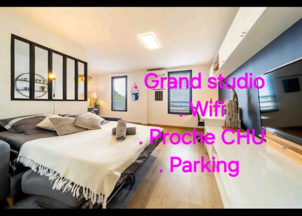 L'emeraude - Studio Proche Du Chu - Saint-Denis