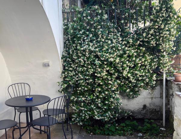 Il Regno Delle Due Sicilie E Il Regno Di Napoli - Naples, Italie