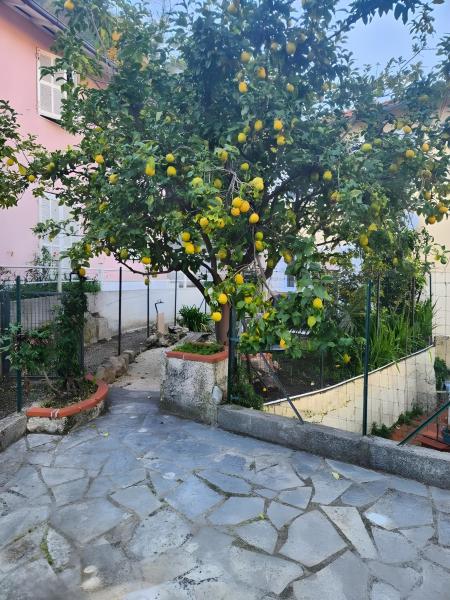 Appartement Avec Jardin - Le Citronnier - Menton