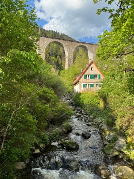 Ravenna Lodge - Hinterzarten