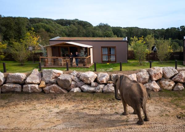 Parc Zoologique Et Loisirs Thoiry - Yvelines
