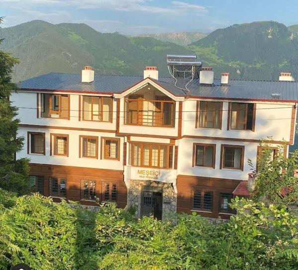 Meşei̇çi̇ Butik Hotel - 特拉布宗省