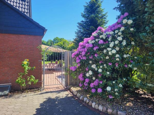 Das Kleine Gemütliche Apartment Direkt Am Wald - Oldenburg