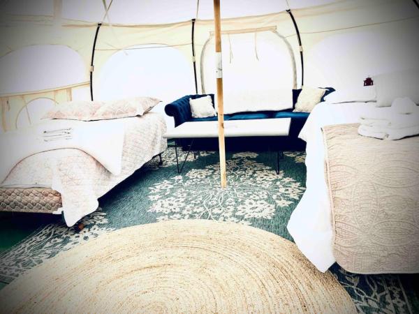 Glamorous Riveryurt Breakfast No Fees 10 - Buena Vista, CO