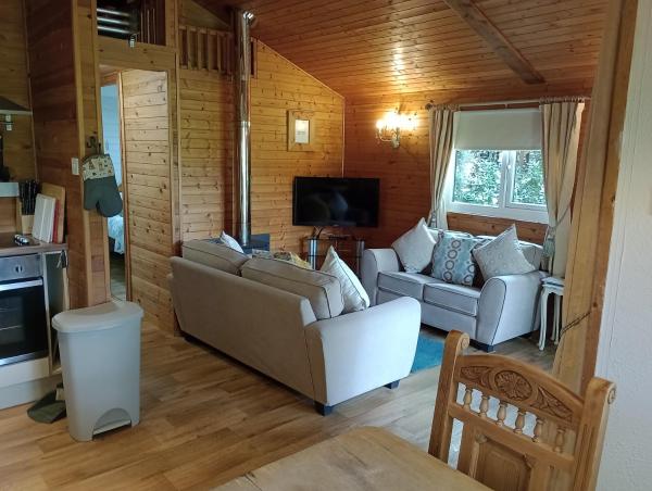 Comfy Secluded Cabin - North Wales