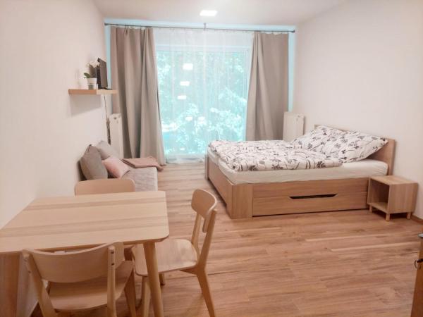 Apartmán Iris Poděbrady - Kolín