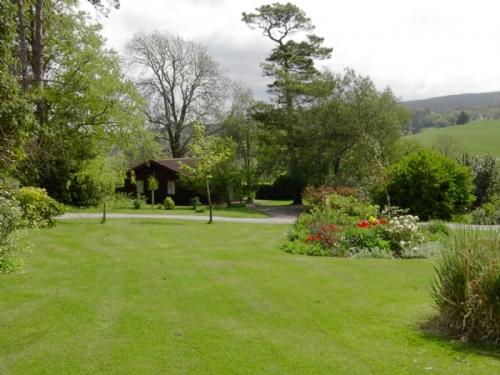 Pine Tree Lodge - Minehead