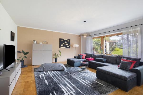 Wiesenblume - Marktredwitz