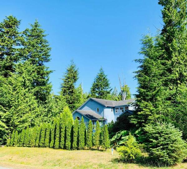 Blue Cedar Suite - Tofino