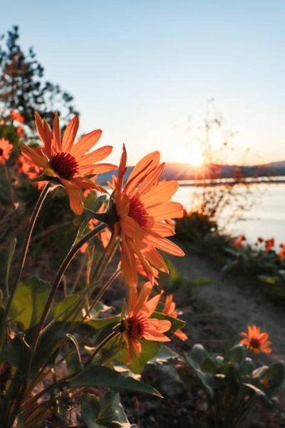 The Kalamoir Suite - West Kelowna