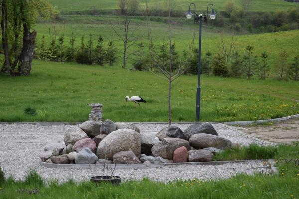 Apartament Czos Przy S16 - Mazury