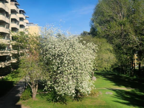 Jahminatu`s Apartment - Södertälje