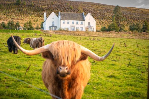 Alexander House 24 - Self Catering - Gleneagles