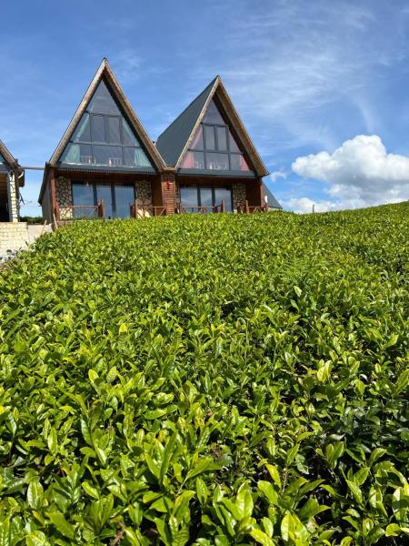 Zenimos Bungalov - Çamlıhemşin