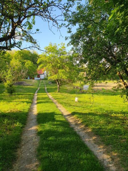 Bácshegyi Vendégház 1 - Szigliget