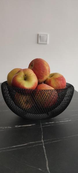 Apartmán Orchidea - Szczawnica