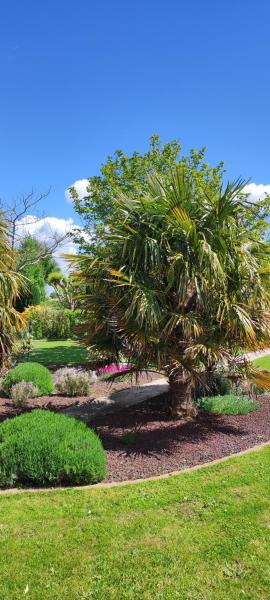 Le Ptit Normand Entre Ville & Plages - Département Calvados