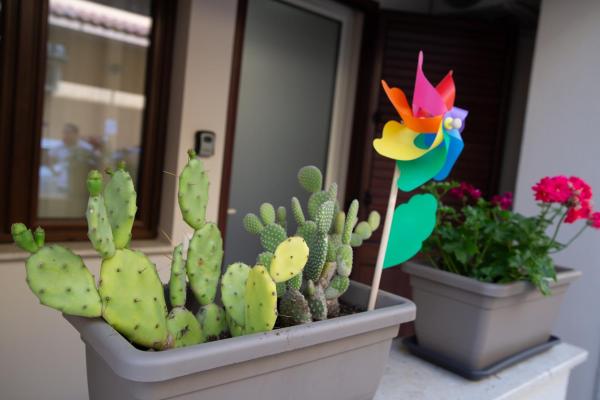 Ciao Appartamenti Centro Paese - Balestrate